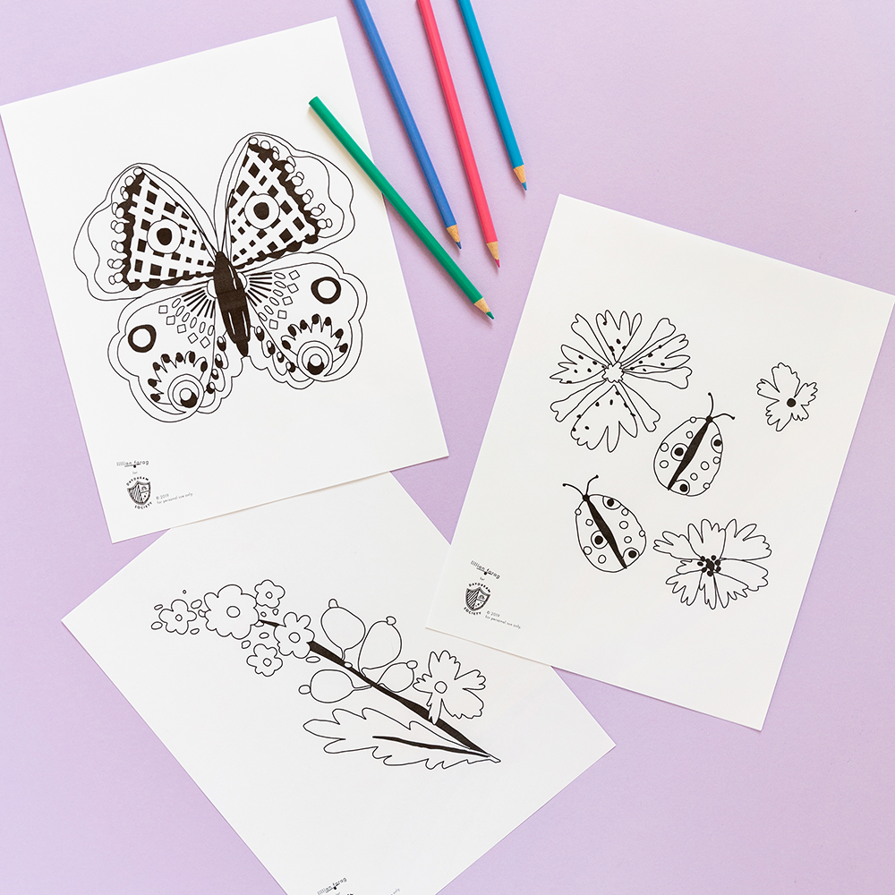Flutter Coloring Pages – Daydream Society